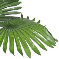 Oota sa! DVD 1 & 2 kollektsioon (185583835) - Osta.ee