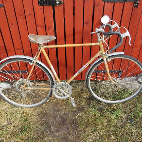 Veneaegne jalgratas "спорт" (210125054) - Osta.ee