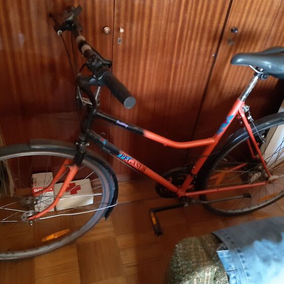 Jalgratas PEGASUS, Tallinnas (195596746) - Osta.ee