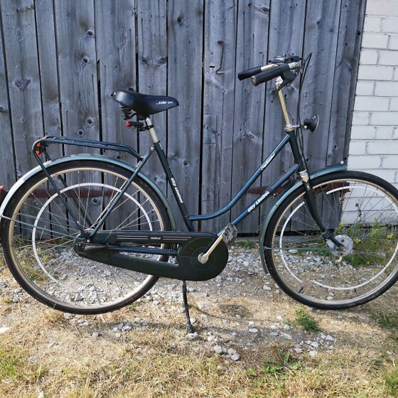 Jalgratas Gazelle (203308078) - Osta.ee