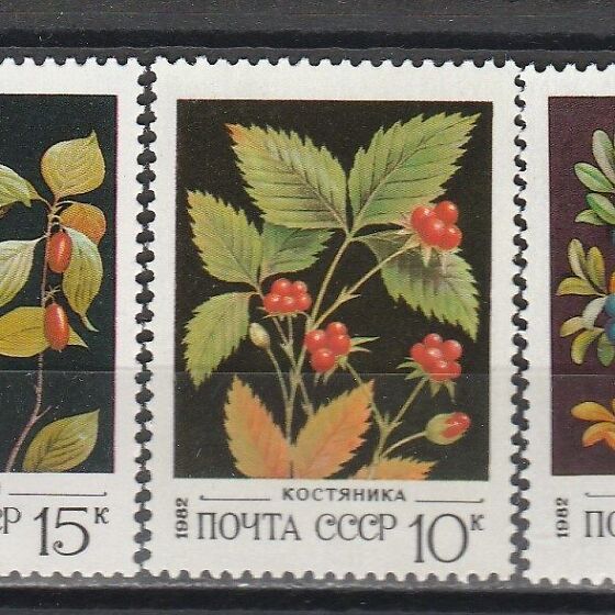 46-12 nl marjad (197681370) - Osta.ee