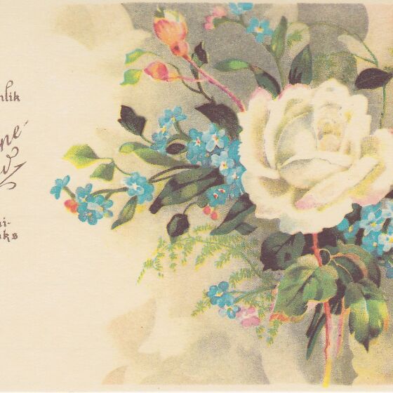 REPRO_ 1992 VALGE ROOS OLION (212608963) - Osta.ee