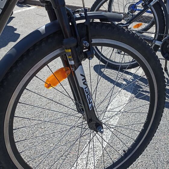 Meeste jalgrattas Classic Discovery (226221649) - Osta.ee