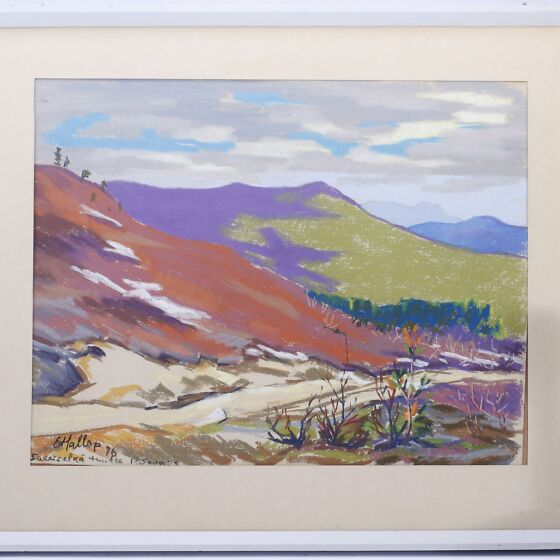 ernst hallop, pastell "saariselkä tundra" 1976 ... (212971494) - Osta.ee