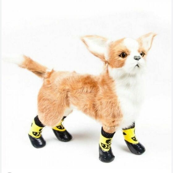 Väike koera sokid (215368209) - Osta.ee