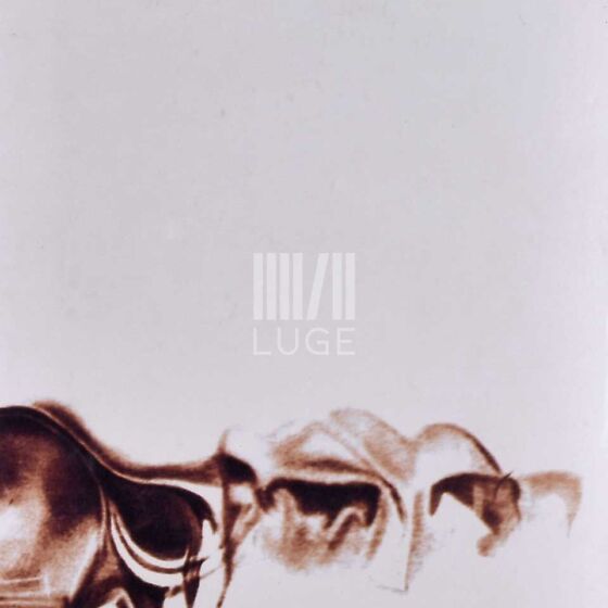 Dialoog surmaga. Argo Moor (195113414) - Osta.ee