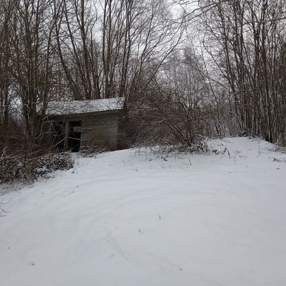 Raudtee 14 Vana-Vigala kinnistu (204708971) - Osta.ee