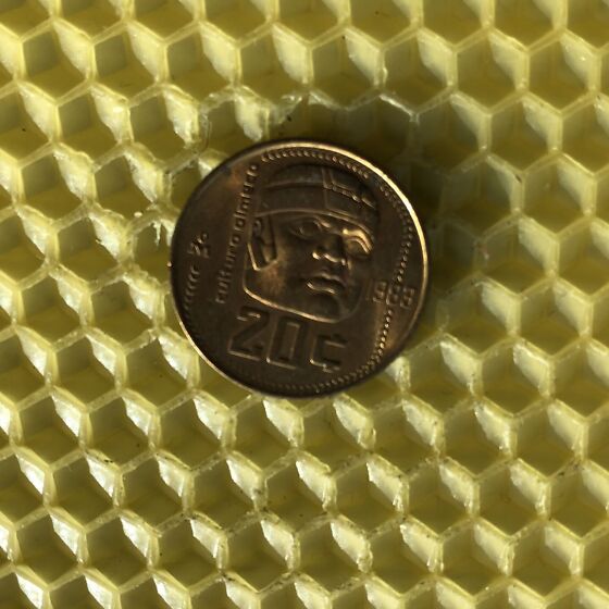 Mehhiko 20 Centavos 1983a. ම (198048974) - Osta.ee