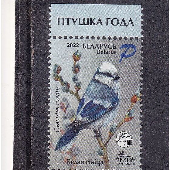 Valgevene 2022 Lasuurtihane-aasta lind ** (191030678) - Osta.ee