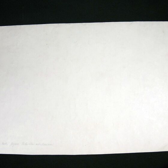 Eeva Ant "Gladioolid" (118008875) - Osta.ee