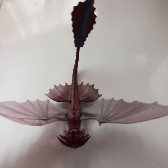 Draakon (214330502) - Osta.ee