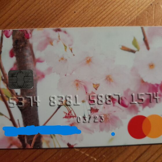 Plastikkaart.Pangakaart SEB debit. (209652850) - Osta.ee