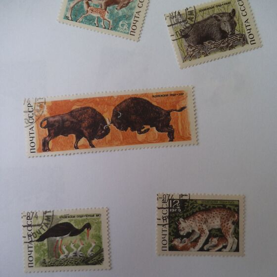 Margid (205380952) - Osta.ee