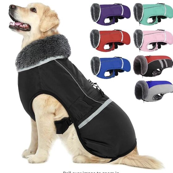 Koera talvekombinesoon, vest koerale, Vihmamantel koertele (209848278 ...