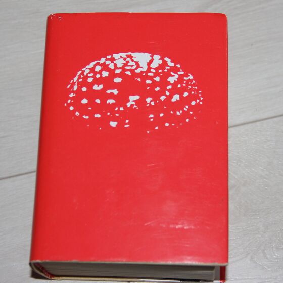 KIVISILDNIK "NAGU HÄRJALE PUNANE KÄRBSESEEN" (193037583) - Osta.ee