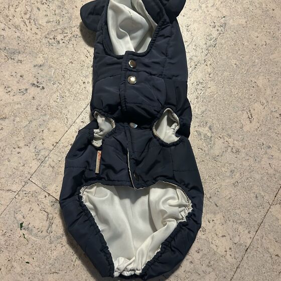 Jope väiksele koerale (203230302) - Osta.ee