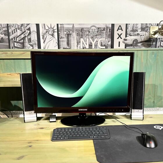 Monitor 24 Samsung SyncMaster P2450 (205098351) - Osta.ee