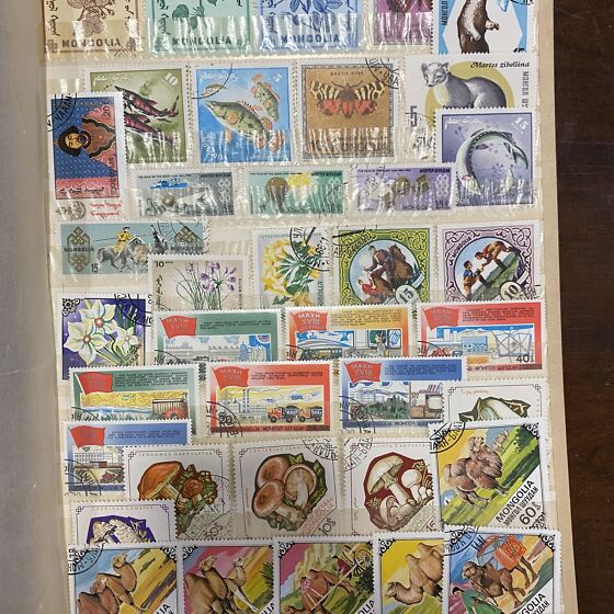 Erinevad margid (193581927) - Osta.ee