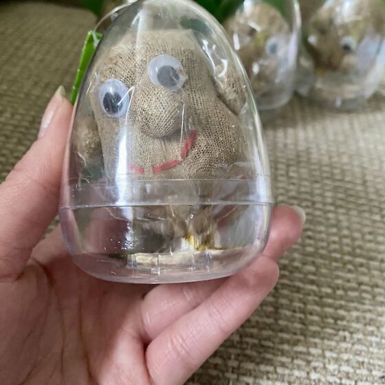 Murupea (208994291) - Osta.ee