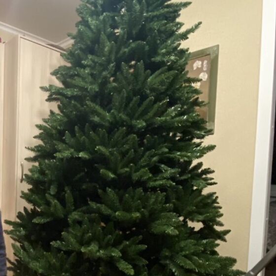 Kuusk 240cm (204327583) - Osta.ee