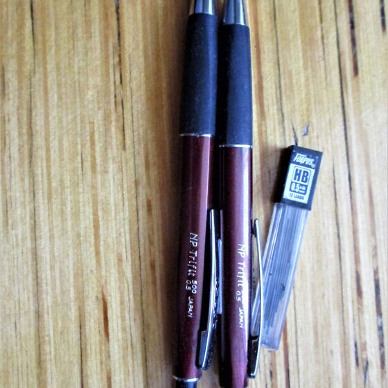 PASTAPLIIATS JA HARILIK PLIIATS (203916858) - Osta.ee