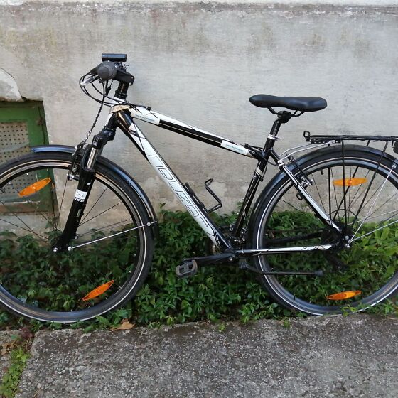 Jalgratas Neuzer 28 Hübriid (207694848) - Osta.ee