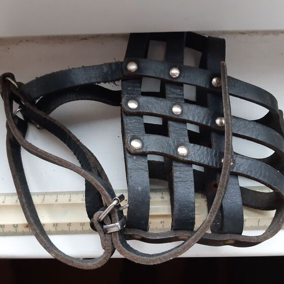 koera suukorv (201559918) - Osta.ee