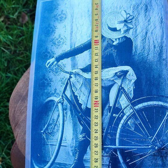 AKT jalgratas ilus kunsti . pilt. (193055502) - Osta.ee