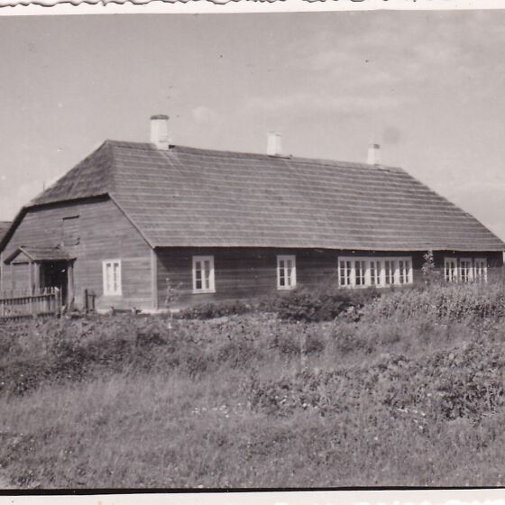 VILJANDIMAA KOOLID: ÄMMUSTE algkool TARVASTU vald (197869771) - Osta.ee