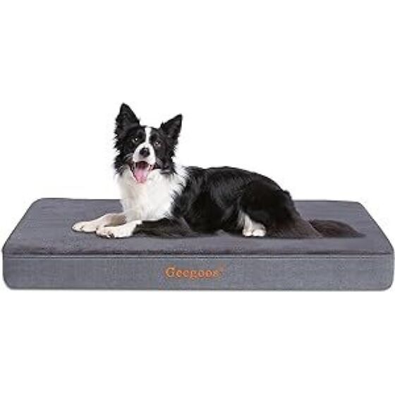 Geegoos Suur koerapadi, 89x55x7 cm, hall (215555257) - Osta.ee