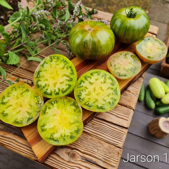 Laitse - 2022. Tomat - "JARSON 18 green". Meie parimad (192378600) - Osta.ee