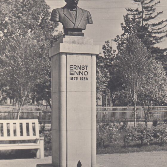 Haapsalu Ernst Enno monument - ERK fotokaart 1963 (204166546) - Osta.ee