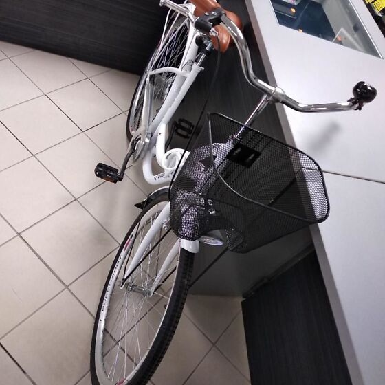 Jalgratas Burghardt Lady City (122964560) - Osta.ee