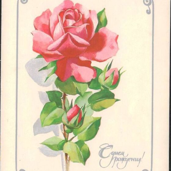 Postkaart lilled (198660084) - Osta.ee