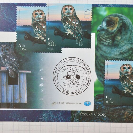 239 EP66 Kodukakk öökull aasta lind infokaart 435 saksa 2009 (202380906 ...