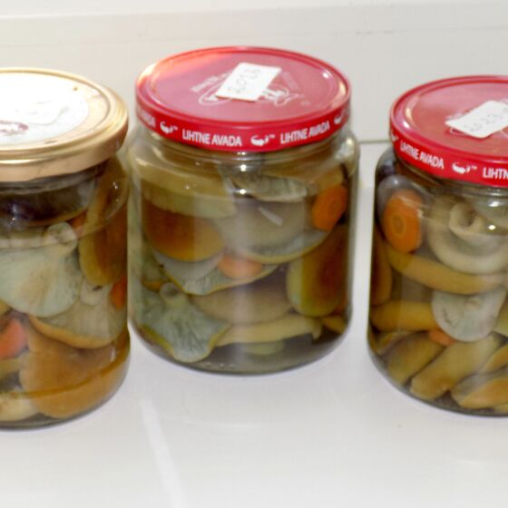 Marineeritud riisikad 0,5l. (204055690) - Osta.ee