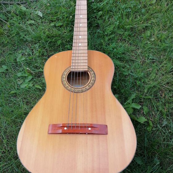 Nõukaaegne Kitarr (201897343) - Osta.ee