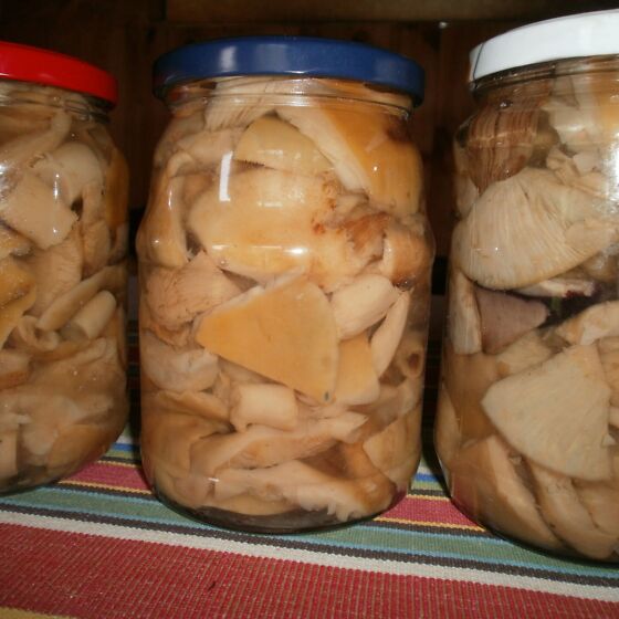 SOOLVEES RIISIKAD (181900527) - Osta.ee