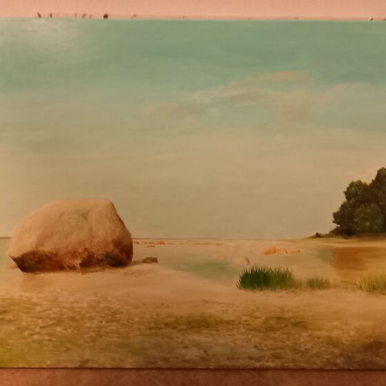 Hando Henno loodusmaal (193656170) - Osta.ee