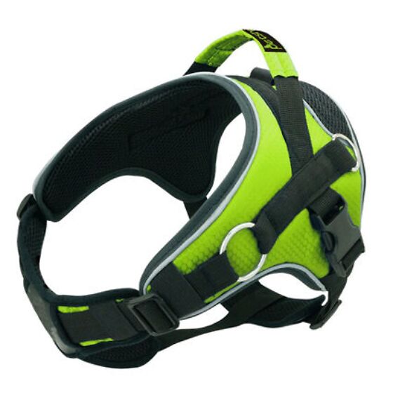 Koera rakmed (192424772) - Osta.ee