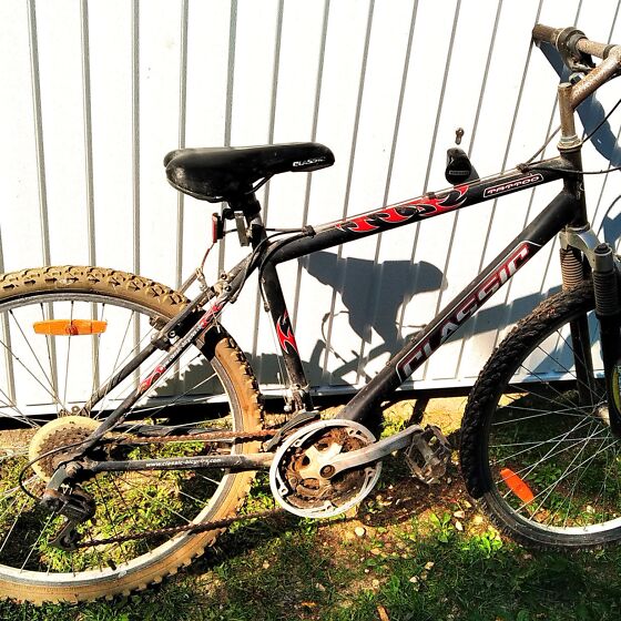 Maastikujalgratas (209446613) - Osta.ee