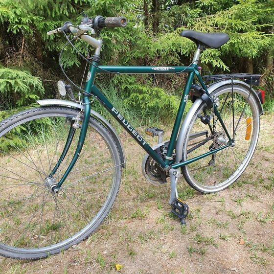 Jalgratas (194348142) - Osta.ee