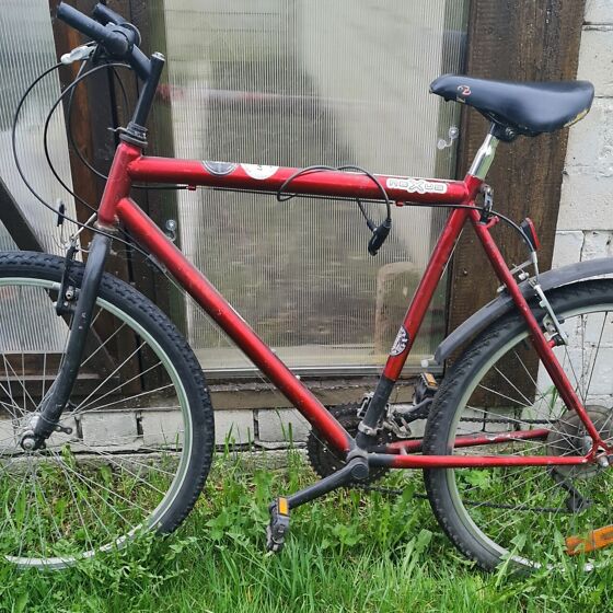 Jalgratas (194386614) - Osta.ee