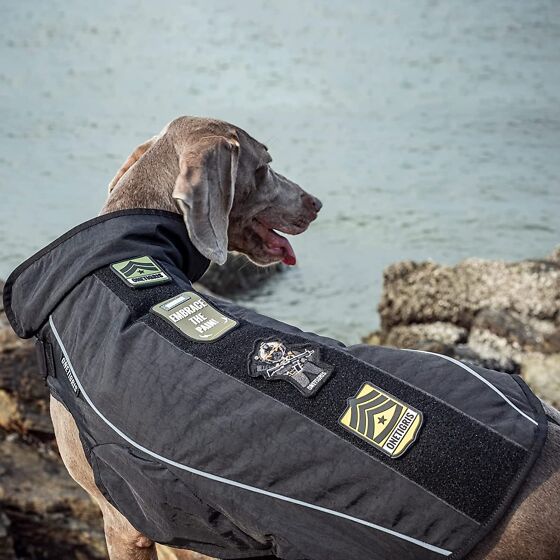 Uus OneTigris taktikaline Bomber K9 koera jope/koera rakmed. (189200408 ...