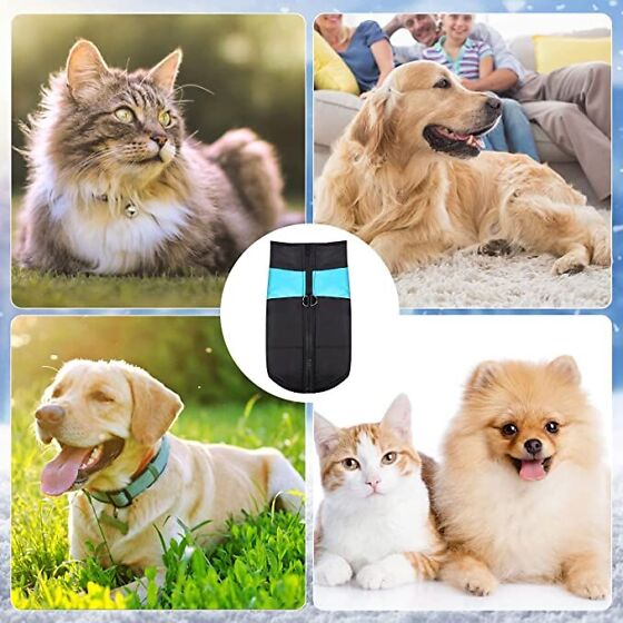 Koera vest (189233073) - Osta.ee