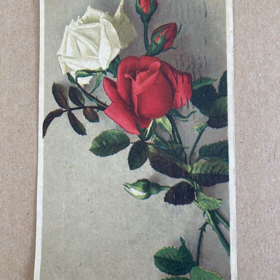 postkaart ROOSID (196413500) - Osta.ee