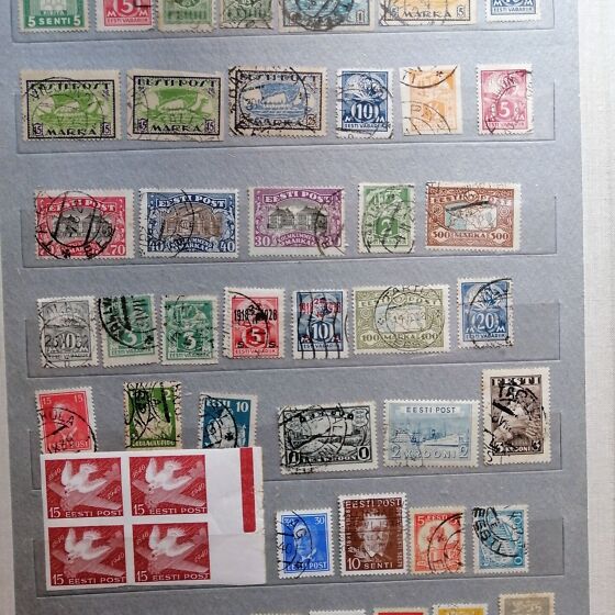 Ew margid! (204970339) - Osta.ee