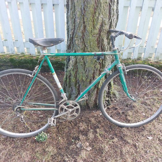 Jalgratas Sport (209908201) - Osta.ee