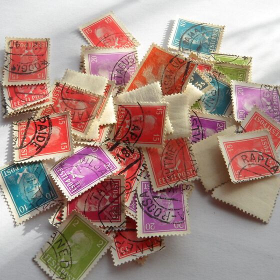 EW margid (203017661) - Osta.ee