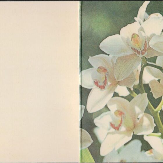 Postkaart / õnnitluskaart V.Maask 1979 (L143) (202034576) - Osta.ee